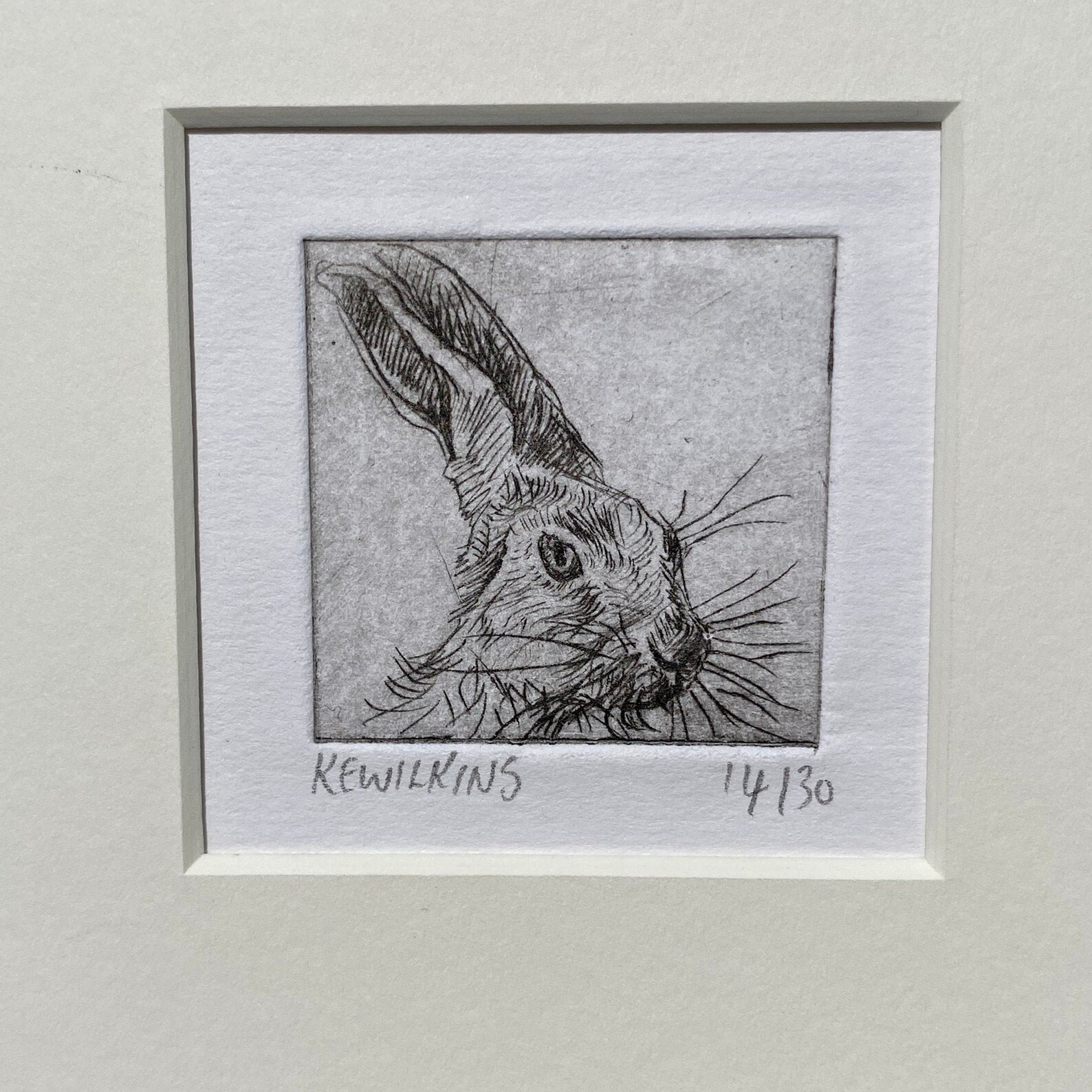 Hare Etching - Etsy