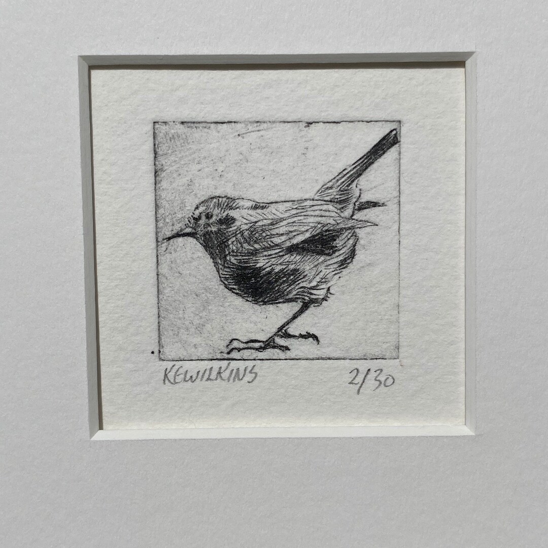 Robin Etching - Etsy
