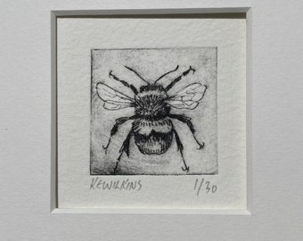 Bumblebee Print-original Bee Etching - Etsy