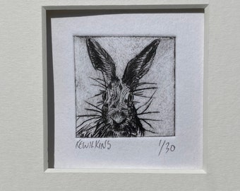 Durer's Hare Hand Printed Etching/ Engraving of a Hare Printed in Black ...