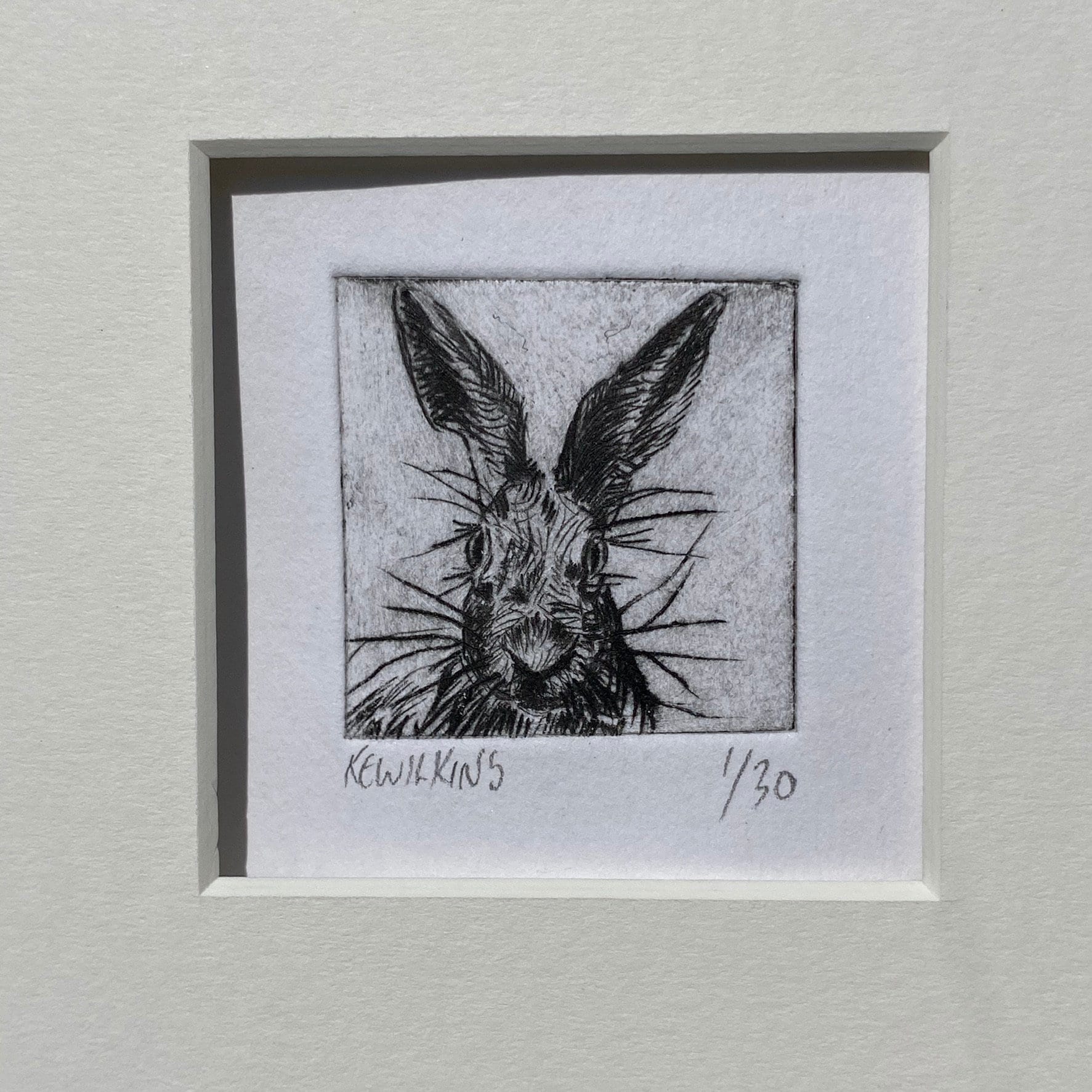 Hare Etching - Etsy