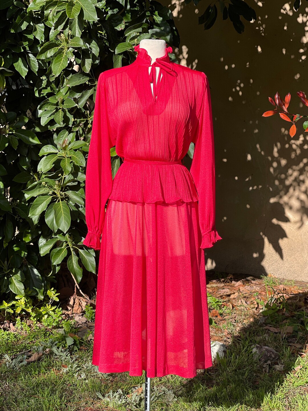 Stunning Vintage 1970's Red Sheer Ruffled, Pleated Flowy Long Sleeve ...
