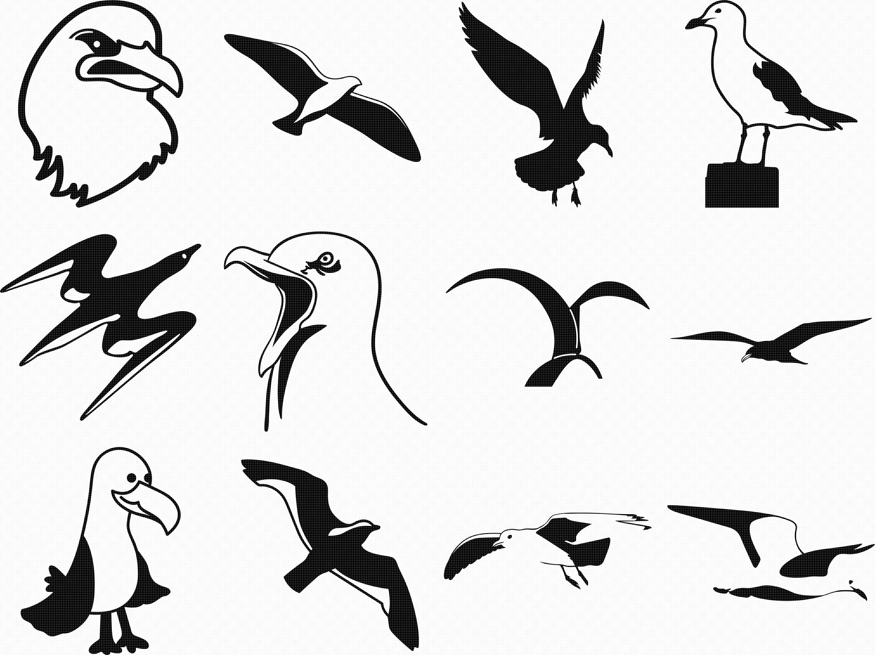 Möwe Svg, Eps, Png, Dxf, Clipart für Cricut und Silhouette - Etsy.de