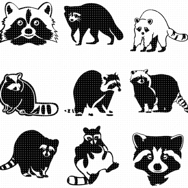 Raccoon Clipart - Etsy