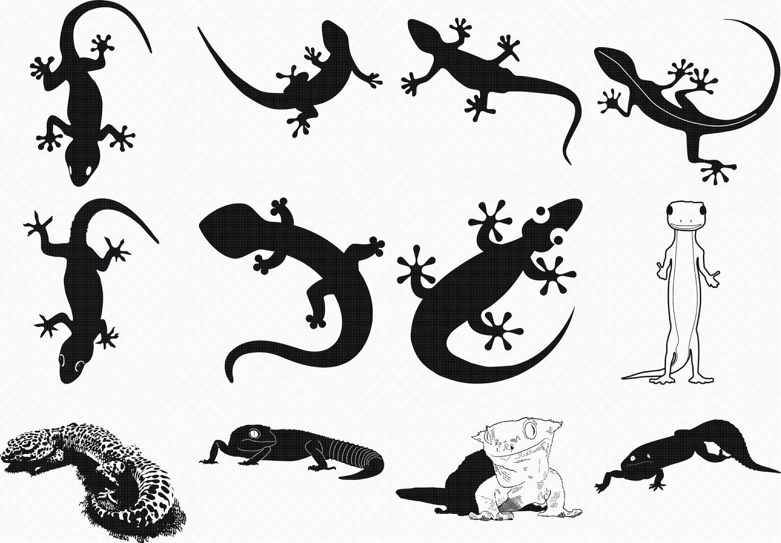 Gecko Svg Eps Png Dxf Clipart for Cricut and Silhouette - Etsy India
