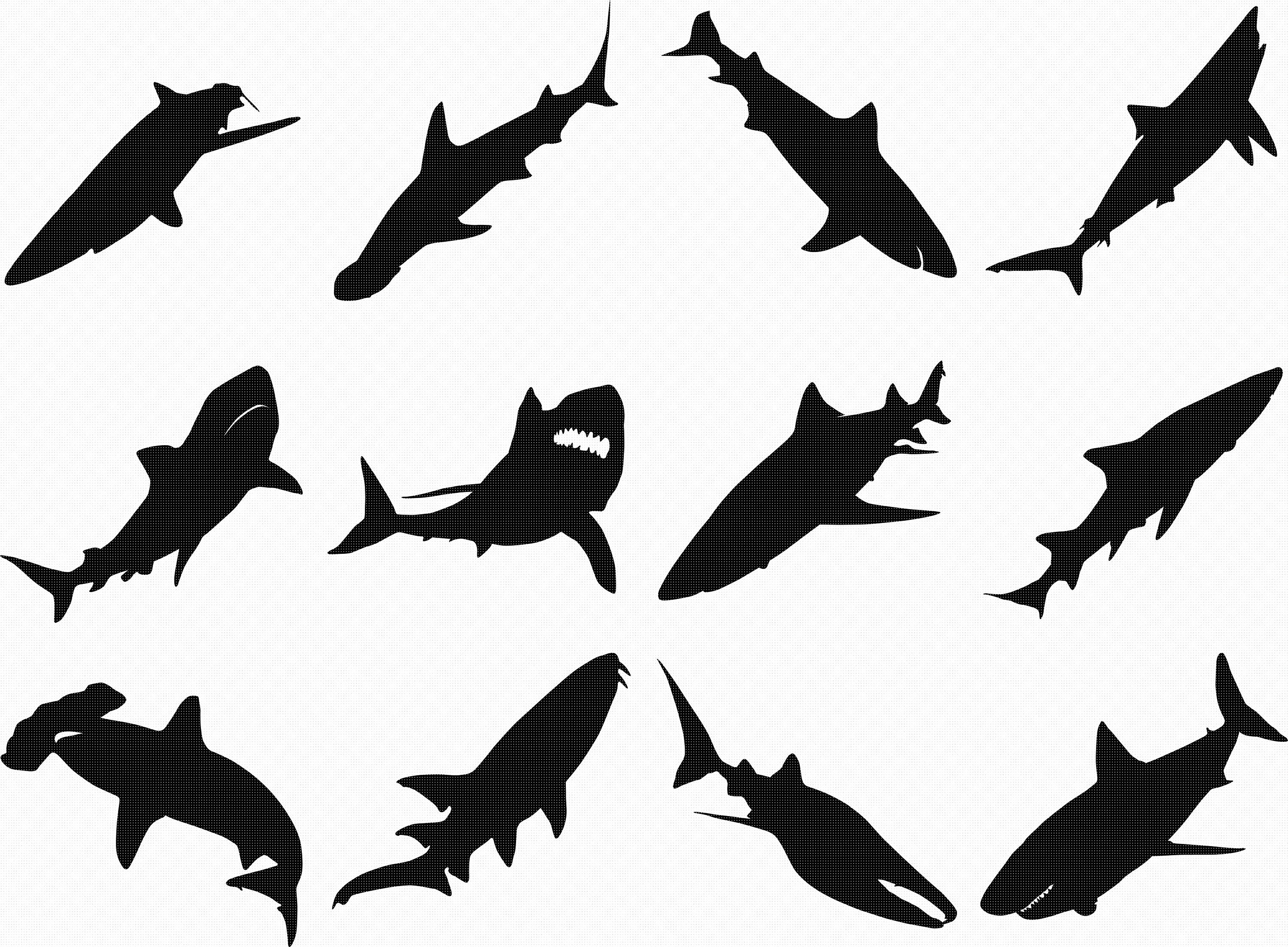 Haie Svg Eps Png Dxf Clipart für Cricut und Silhouette - Etsy Österreich