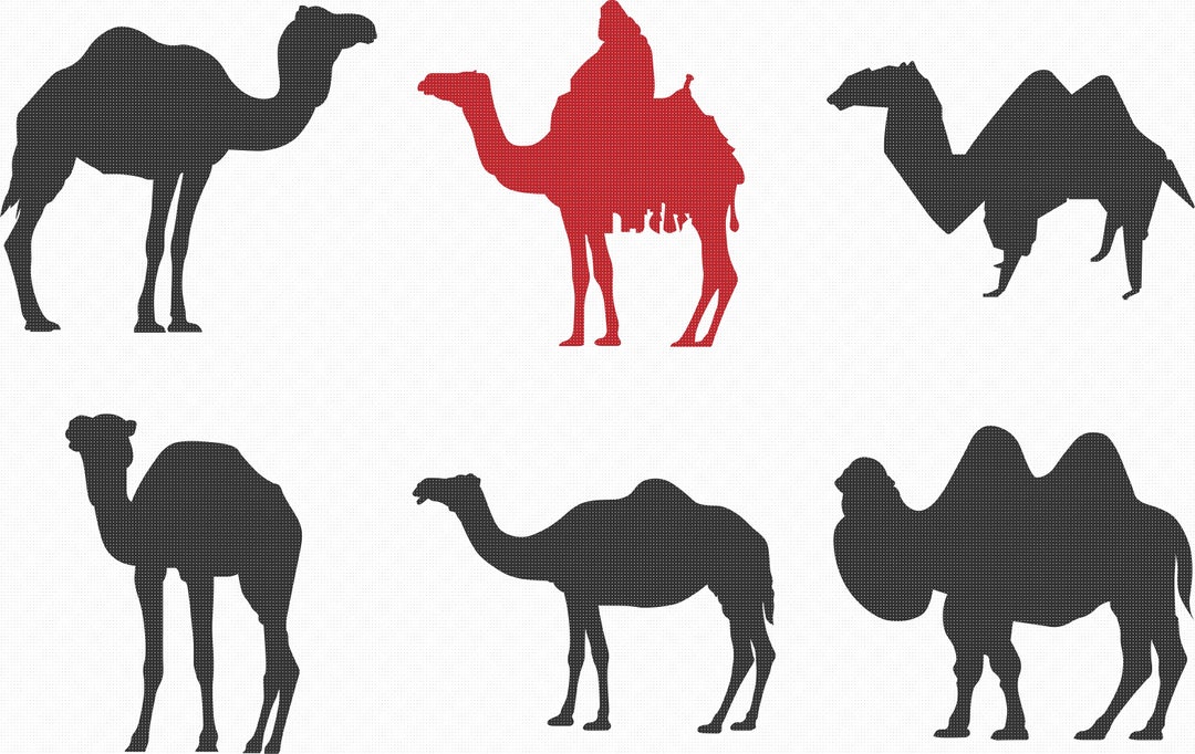 Camel Svg, Eps, Png, Dxf, Clipart for Cricut and Silhouette - Etsy