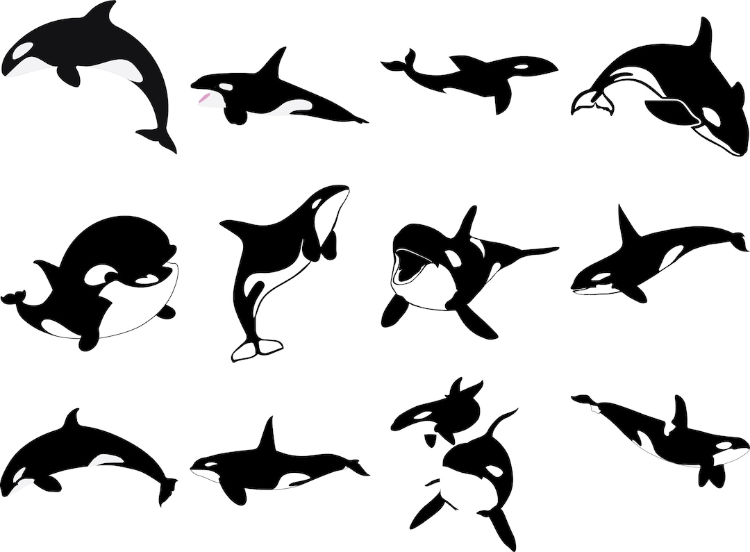 Orca Killer Whale Svg, Eps, Png, Dxf, Clipart for Cricut and Silhouette ...