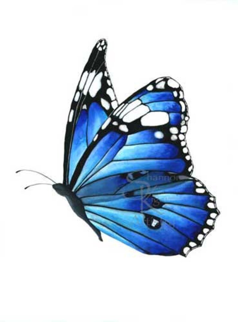 Butterfly Print Royal Blue Butterfly Watercolor Print - Etsy