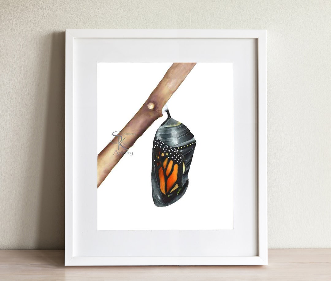 Monarch Chrysalis, Watercolor Print, Realistic Monarch Butterfly Cocoon ...