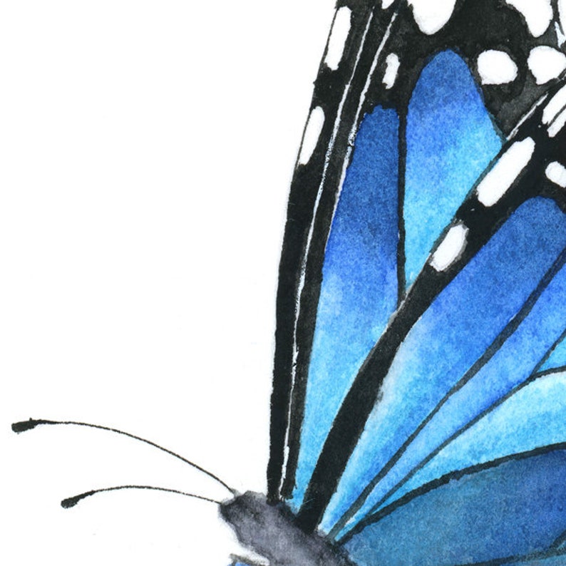 Butterfly Print Royal Blue Butterfly Watercolor Print - Etsy