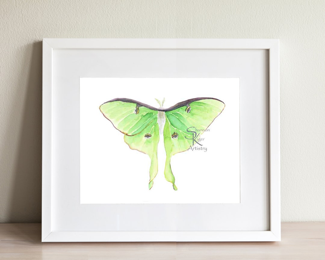 Luna Moth Art Print, Moth Watercolor, Colorful Butterfly Wall Art ...