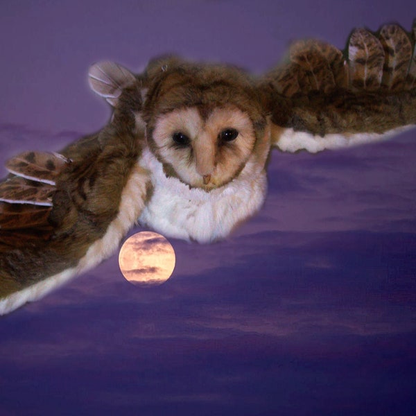 Realistic Owl - Etsy