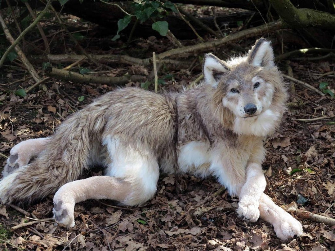 Handmade to Order Realistic Large Brown Wolf - Etsy