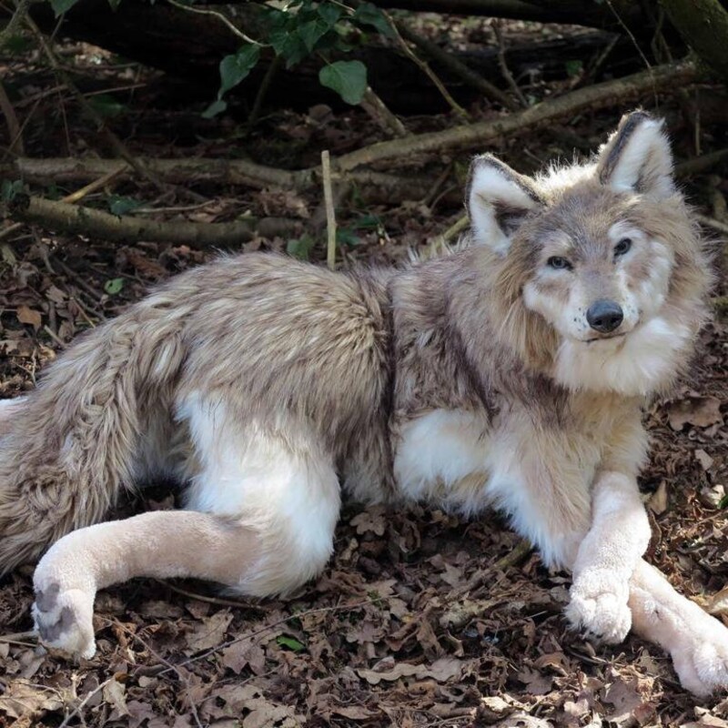 Realistic Stuffed Wolves - Etsy