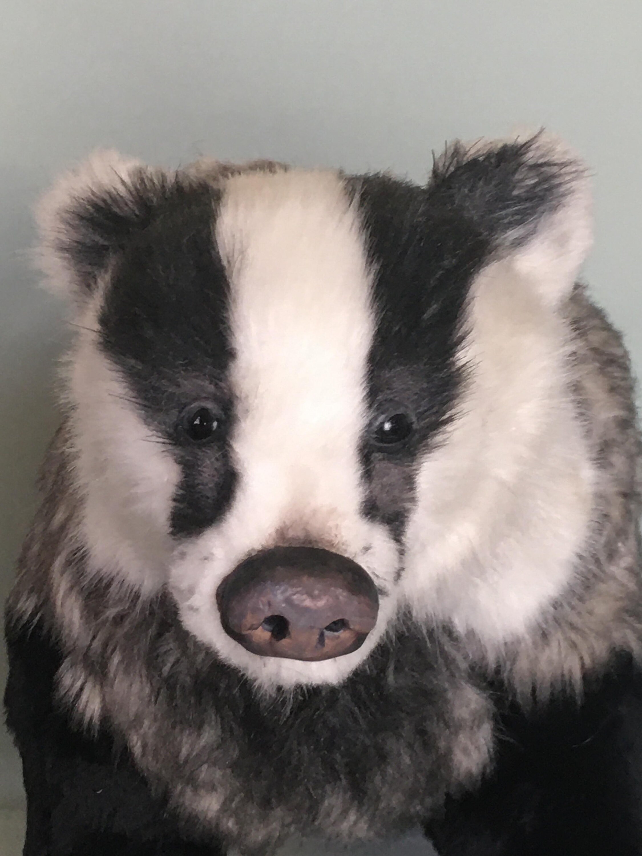 Handmade to Order / Realistic Artist Badger / Original Design / Faux ...