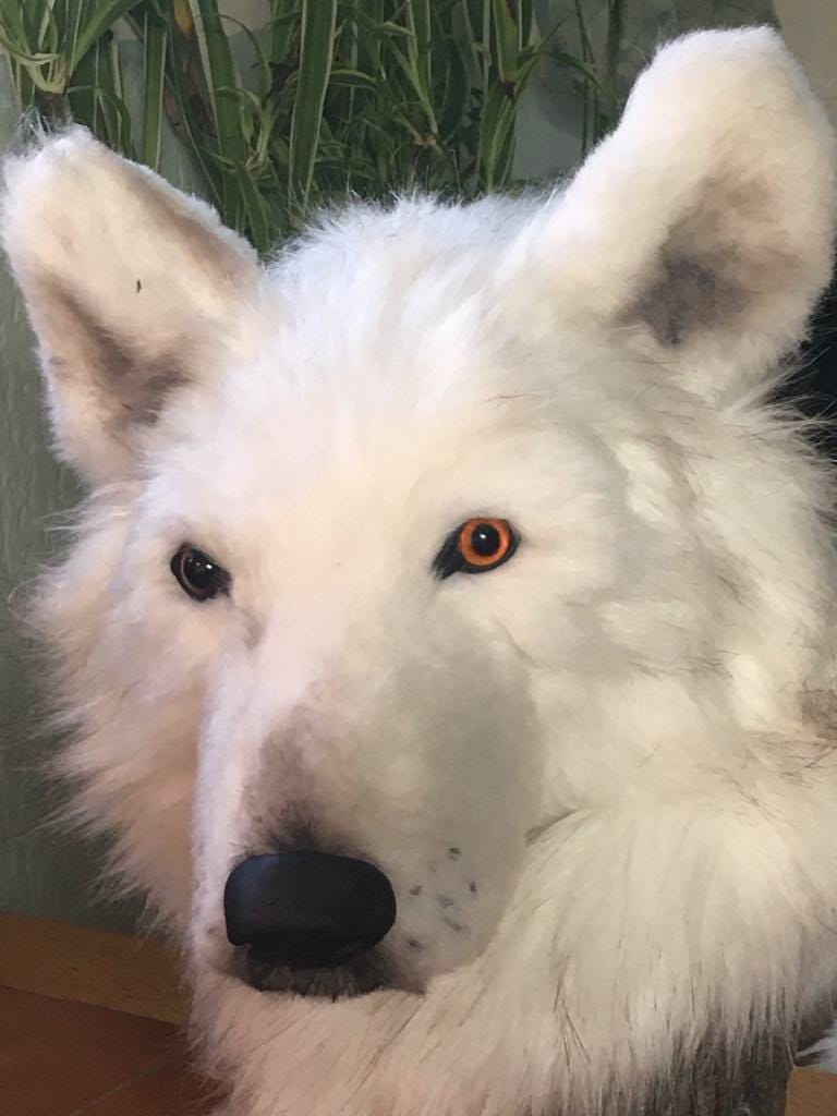 Realistic Large White Wolf Available Soon - Etsy
