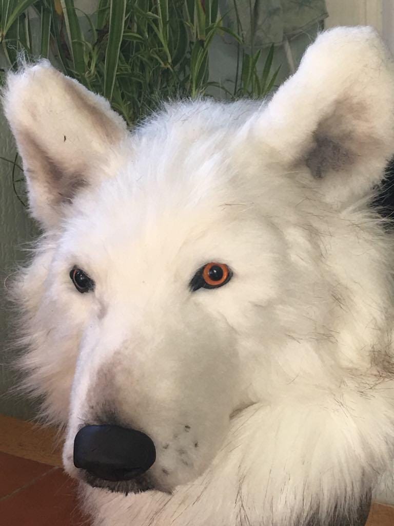 Realistic Large White Wolf Available Soon - Etsy