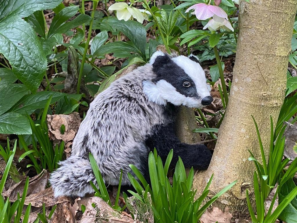 Handmade to Order / Realistic Badger Cub / Lifelike Art Doll / - Etsy