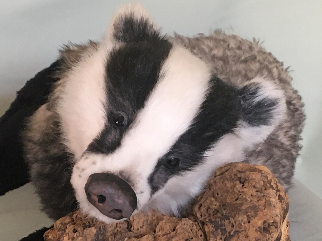 Handmade to Order / Realistic Artist Badger / Original Design / Faux ...