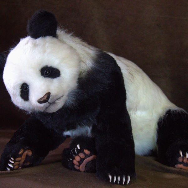 Realistic Panda Plush - Etsy