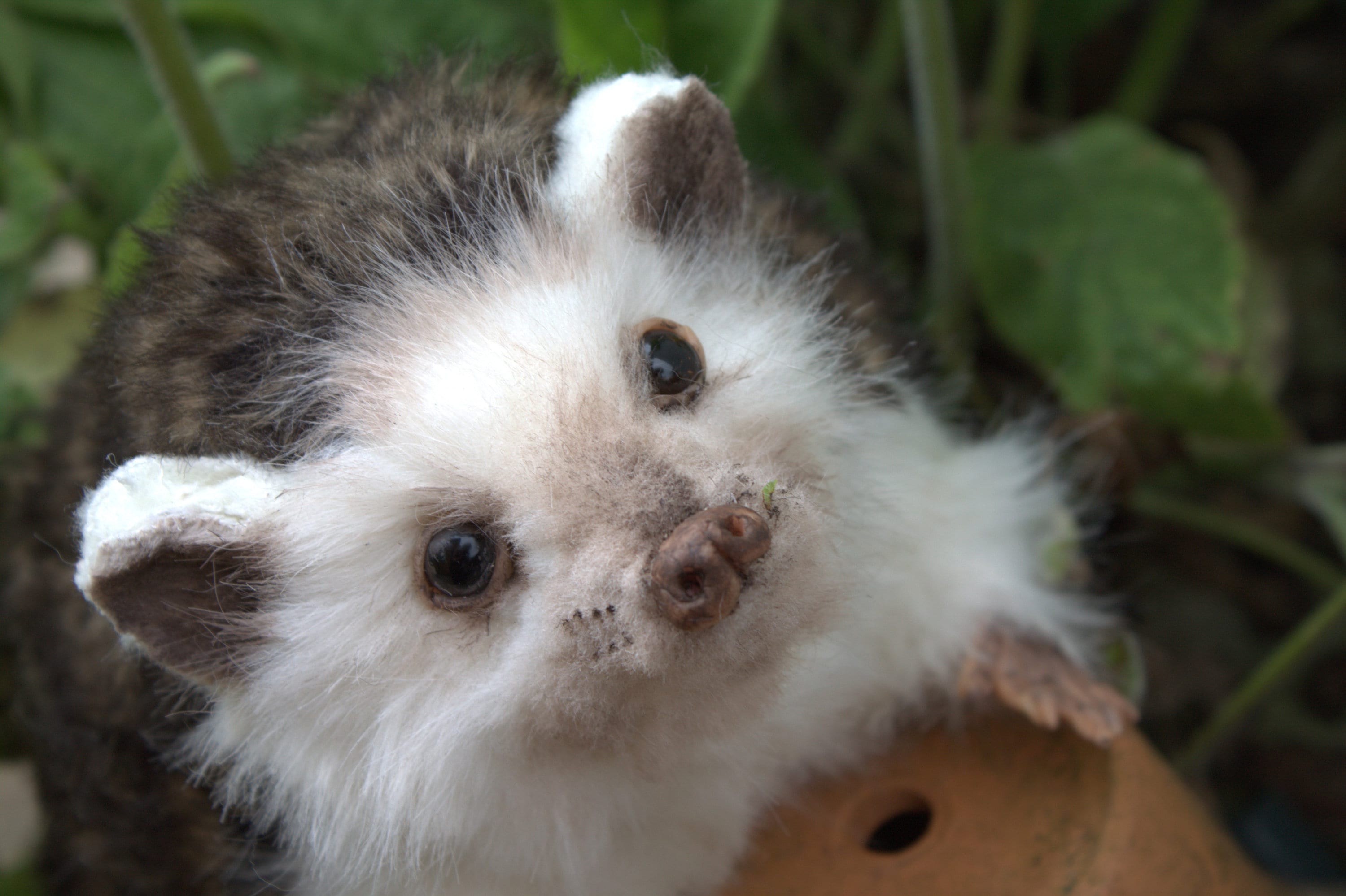 Realistic Hedgehog Soft Sculpture Art Doll / Cottagecore Fairycore ...