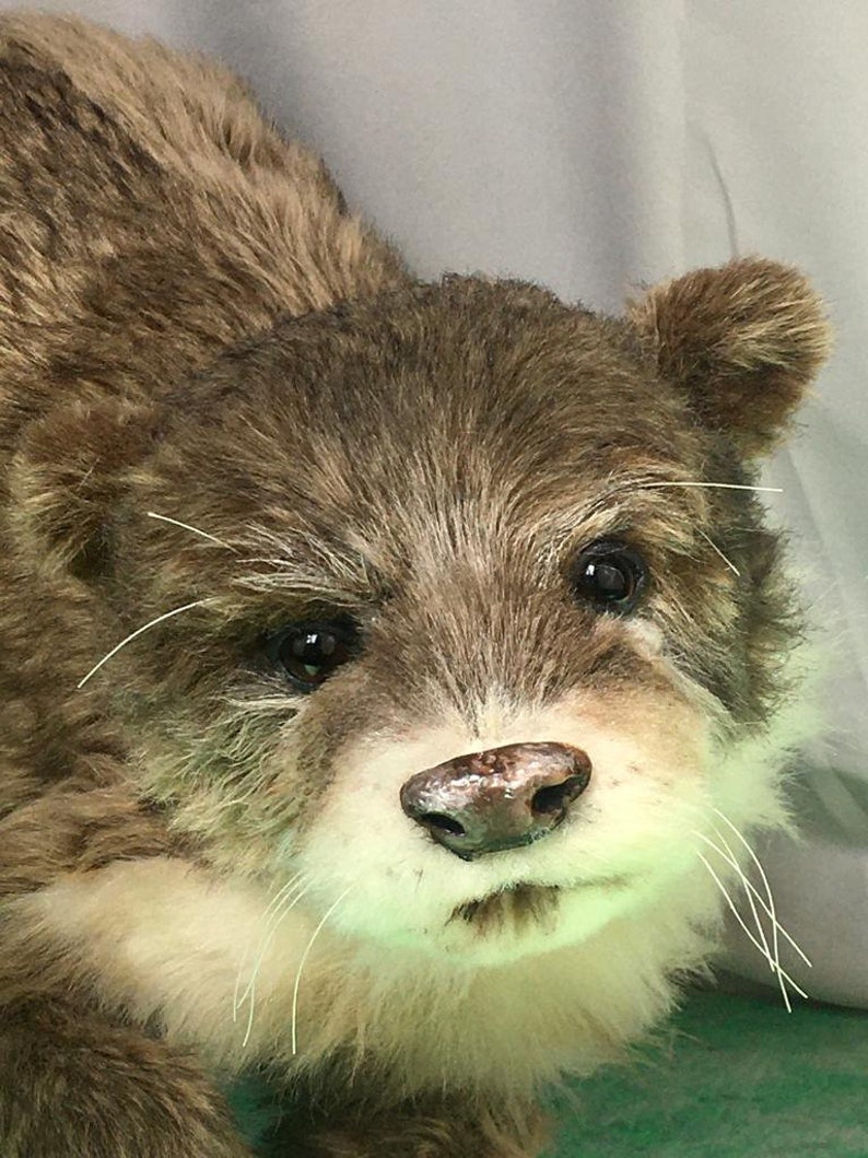 Sample / Handmade Realistic River Otter / Made to Order / - Etsy