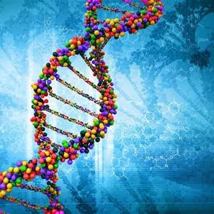 48 Strand DNA Avatar Activation (prerequisite: 12, 24 & 36 Strand DNA ...