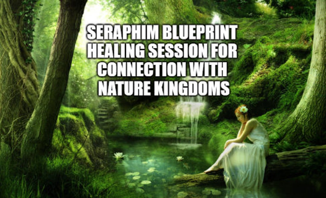 Seraphim Blueprint Healing Session for Connection With Nature Kingdoms ...