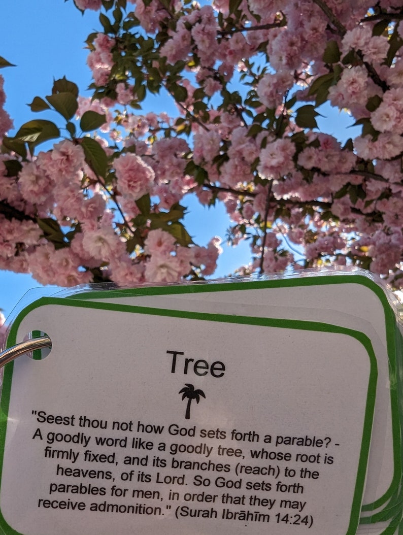 Nature Walk Scavenger Hunt With Quran - Teach Your Kids the Signs From ...