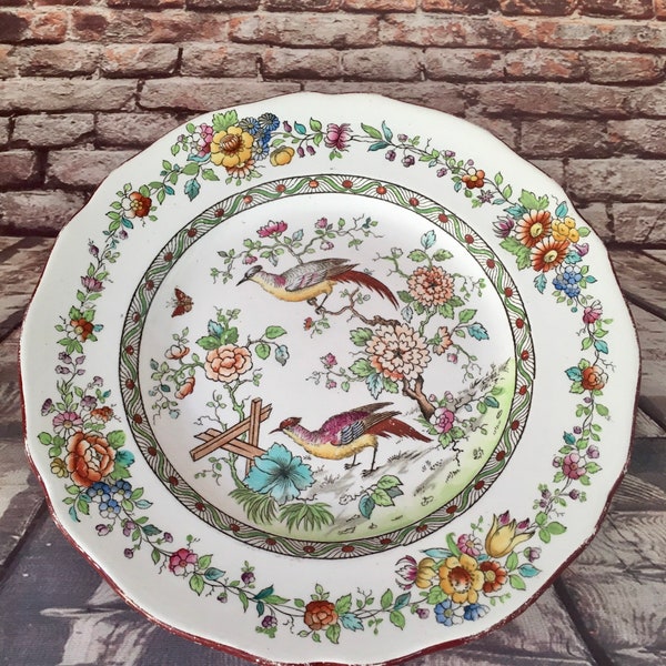 Spode Plate - Etsy