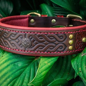 Drifa / 1.5 Inch Collar - Etsy