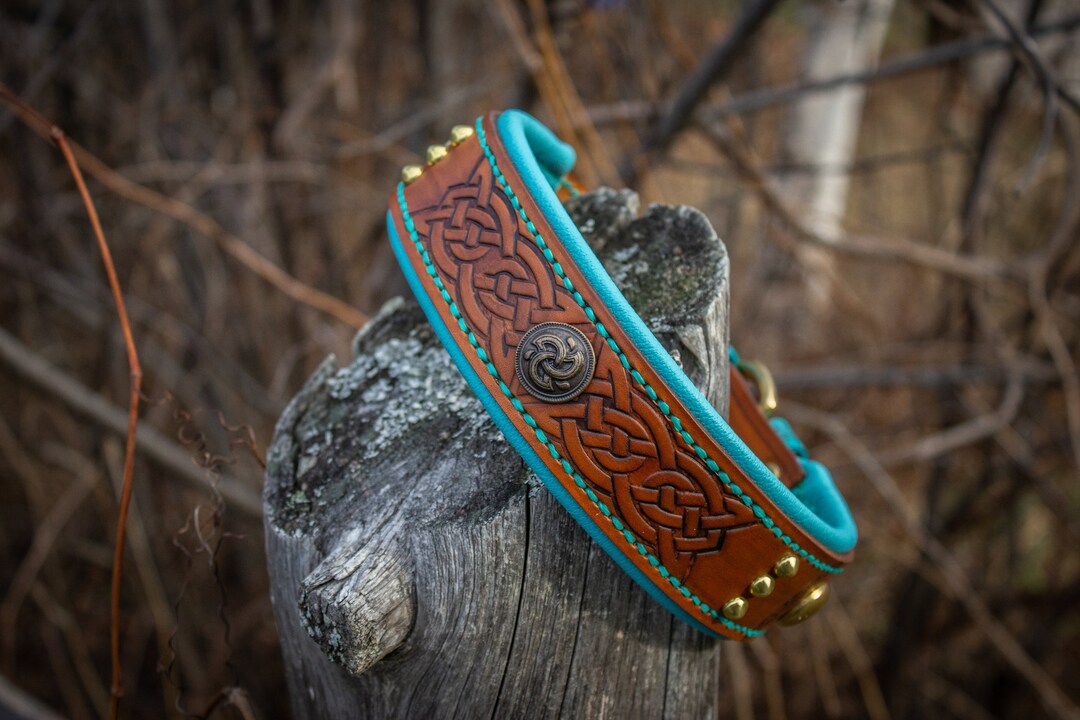 Vigo --- Viking Collar --> 1.5 Inch - Etsy