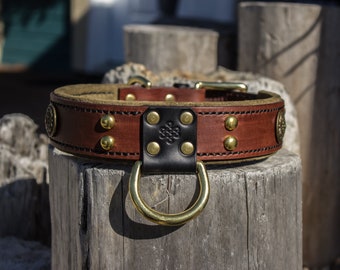 Roman Dog Collar - Etsy