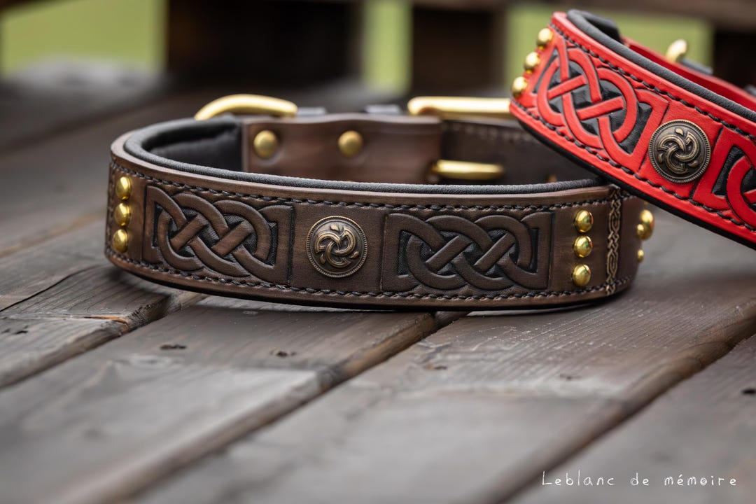 Vigo --- Viking Collar --> 1.5 Inch - Etsy