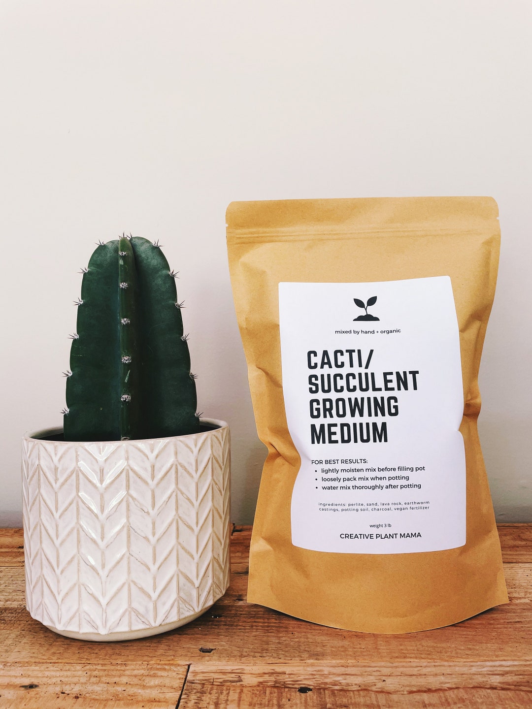 CACTI/SUCCULENT Soil Mix - Houseplant Growing Medium - 3 LB / 2 Gallon ...