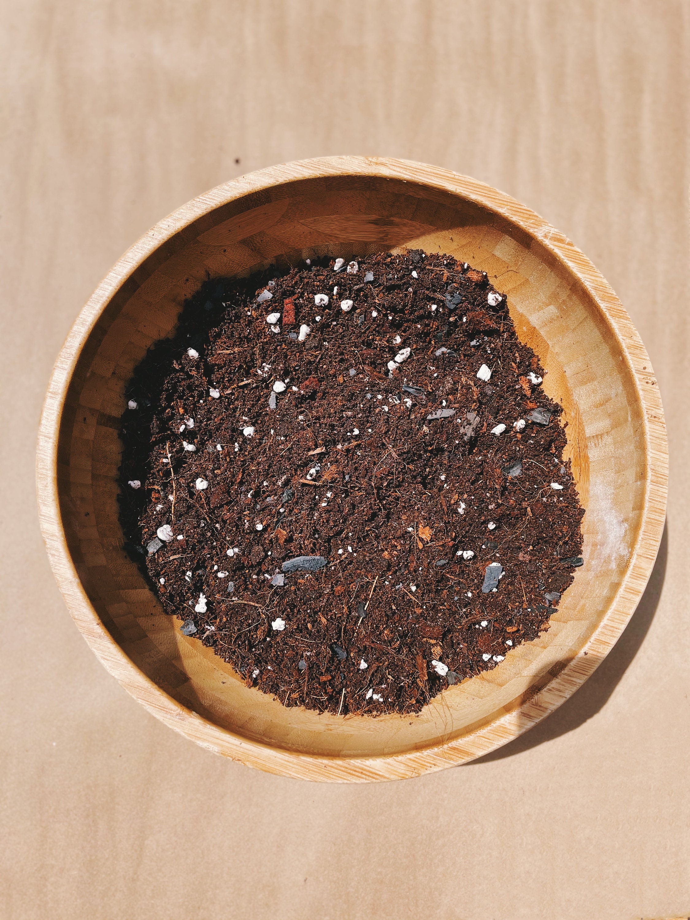 FERN Soil Mix Houseplant Growing Medium 3 LB / 2 Gallon - Etsy