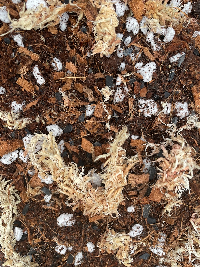 MONSTERA Soil Mix Houseplant Growing Medium 3 LB / 2 - Etsy