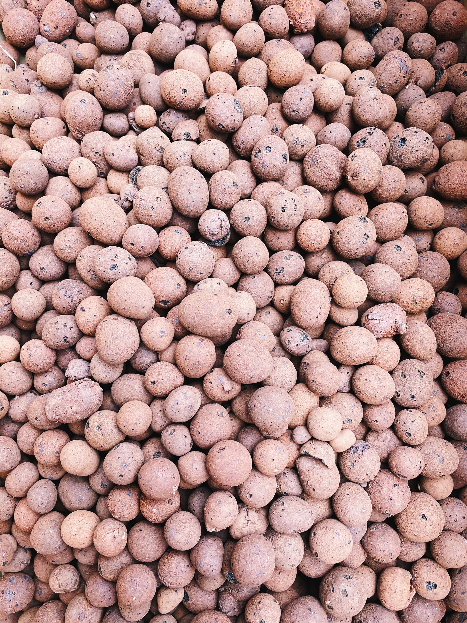 LECA Growing Medium 3 LBS Expanded Clay Balls Hydro | Etsy