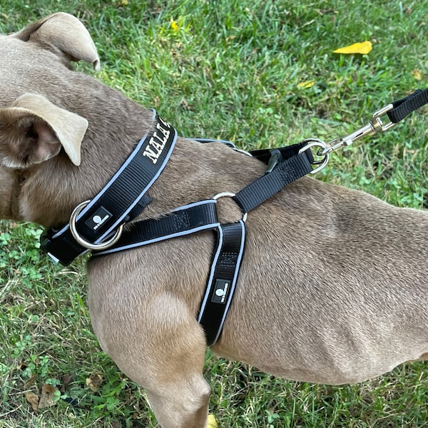 Harness Collar and Leash Set - Etsy