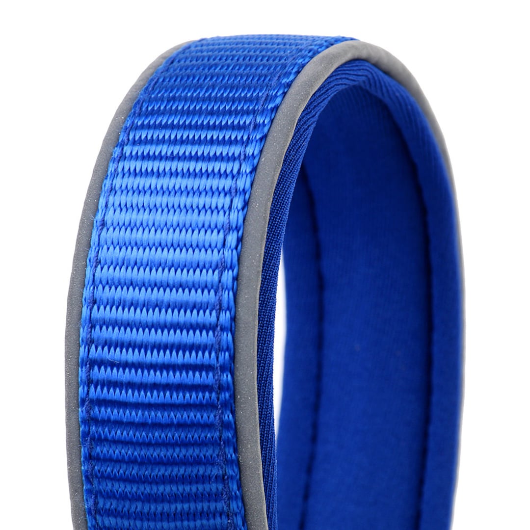 Reflective Padded Dog Collar: Personalized Neoprene, Heavy Duty Buckle ...