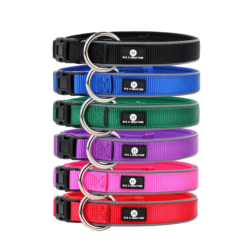 Personalized, Reflective, Padded Collars That Your Dog Will Love! - Etsy