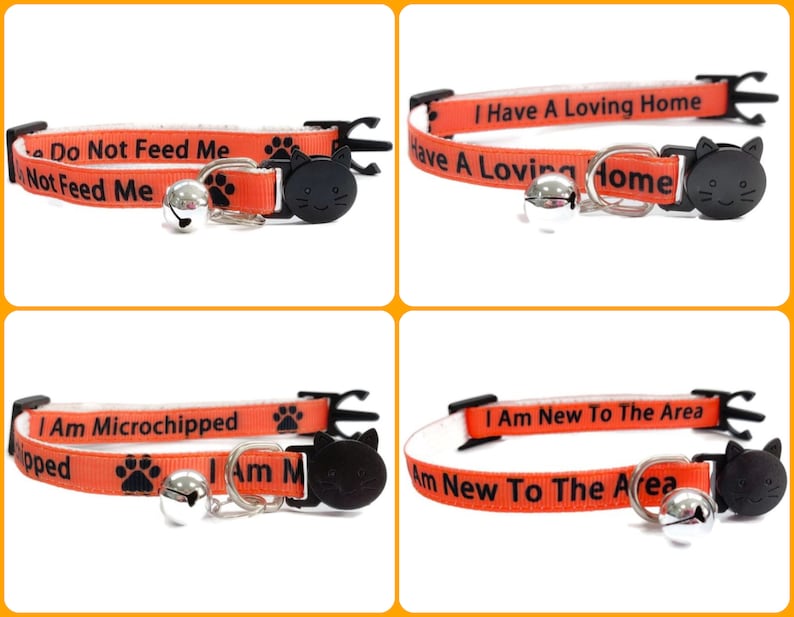 Worded Cat Collars With Bell and Quick Release Breakaway Buckle. Please ...
