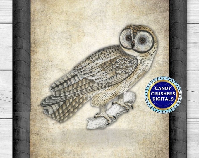 The Wisdom of the Snow Owl - Poster Series #3 - Etsy