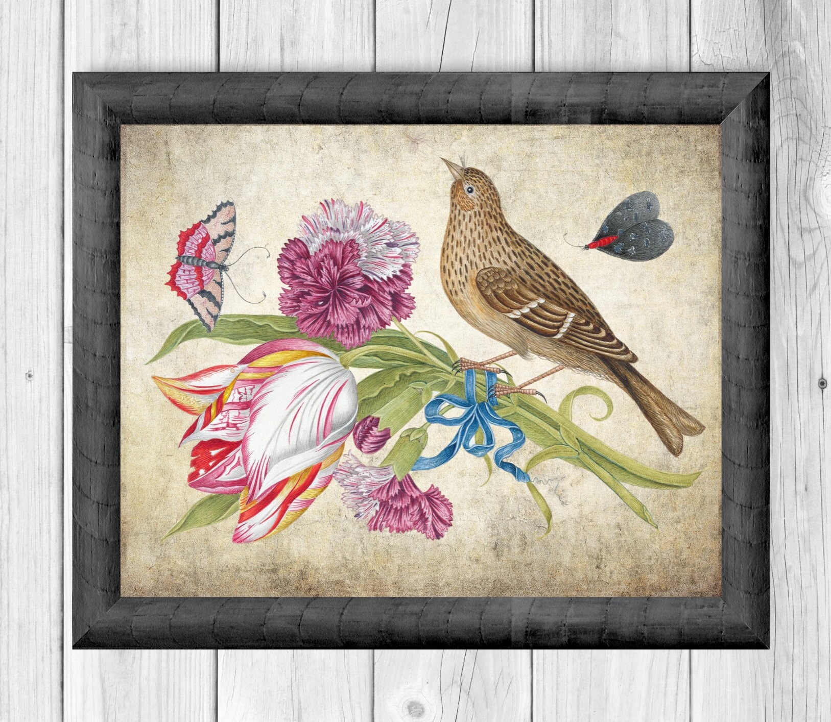 Drawing, Bird With Tulip, Carnation, Butterflies, and Insect ...