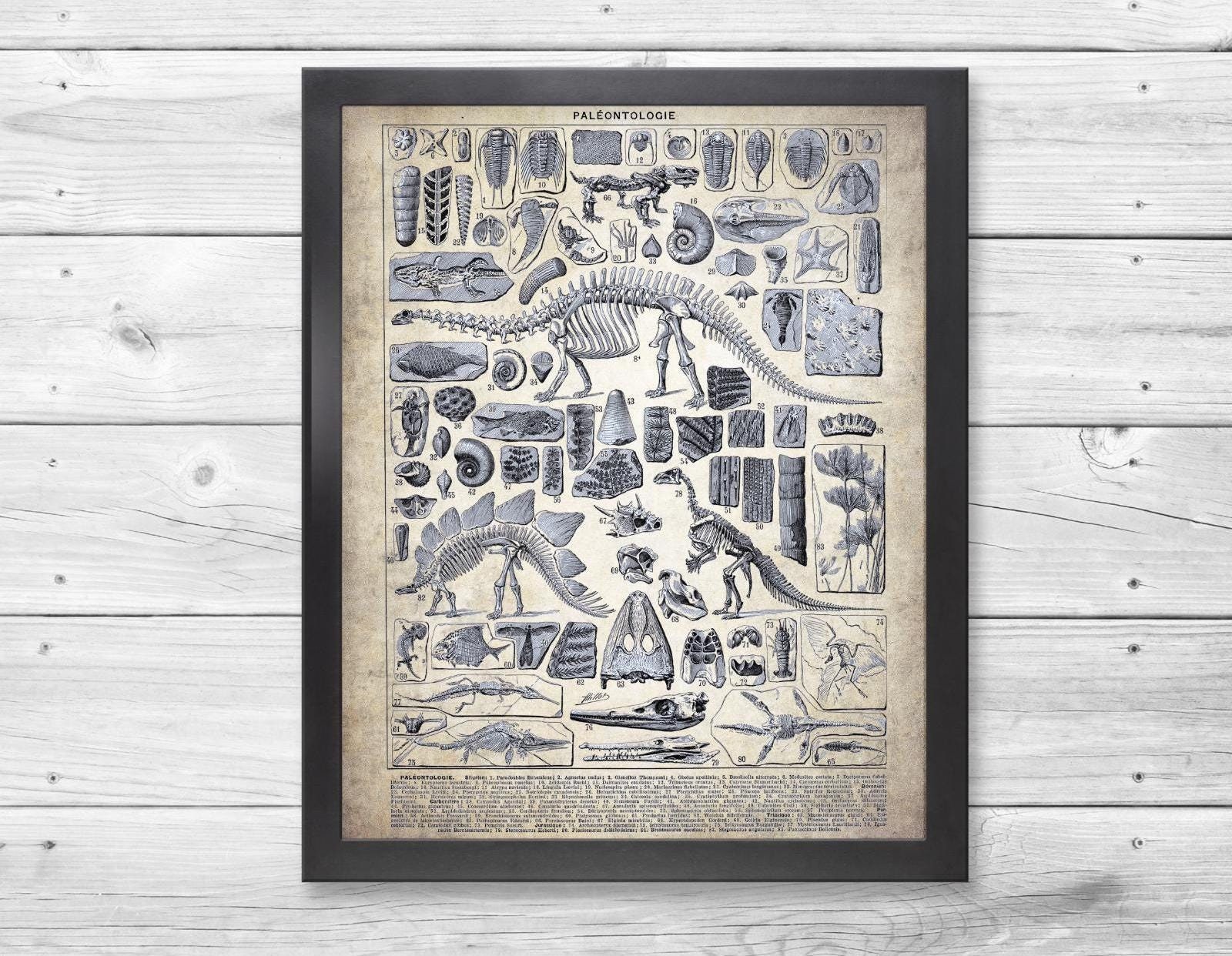 INSTANT DOWNLOAD, Dinosaur Print, Archaeology, Archaeologist ...