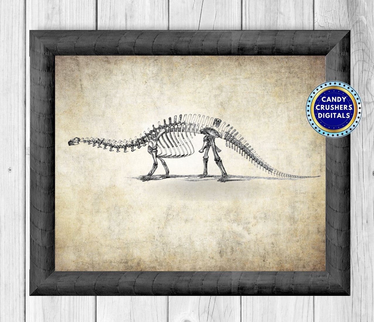 Brontosaurus Skeleton Drawing - Dinosaur Print - Dinosaur Art ...