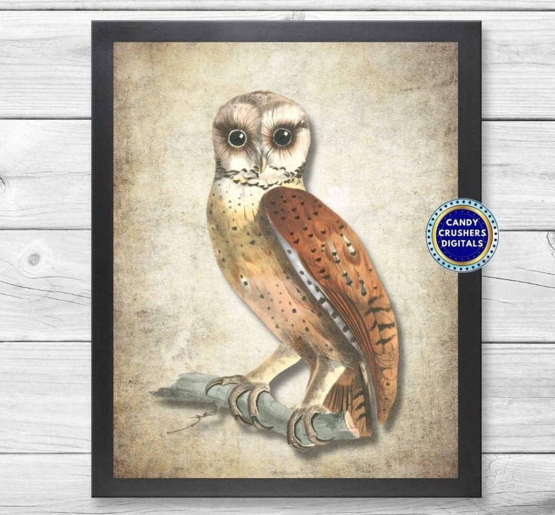 Owl Print - Owl Art - Bird Picture - Living Room Gift Idea - Bird ...