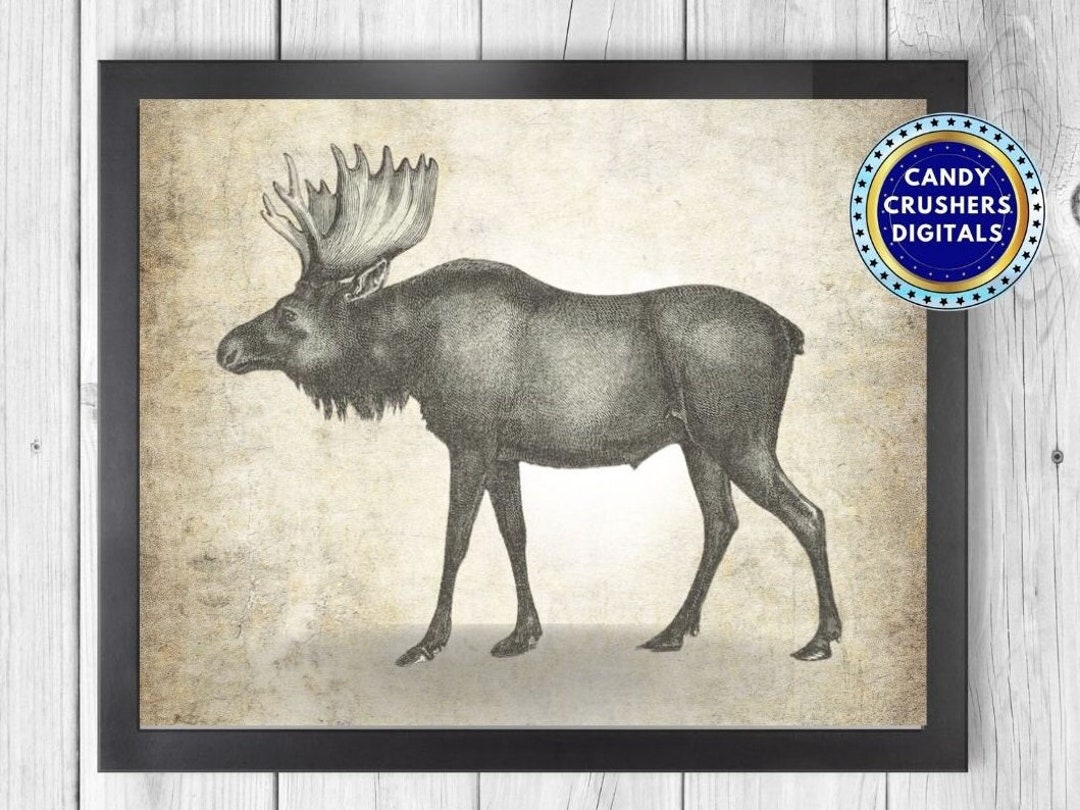 Moose Art - Moose Print - Antlers - Antler Picture - Antler Art ...
