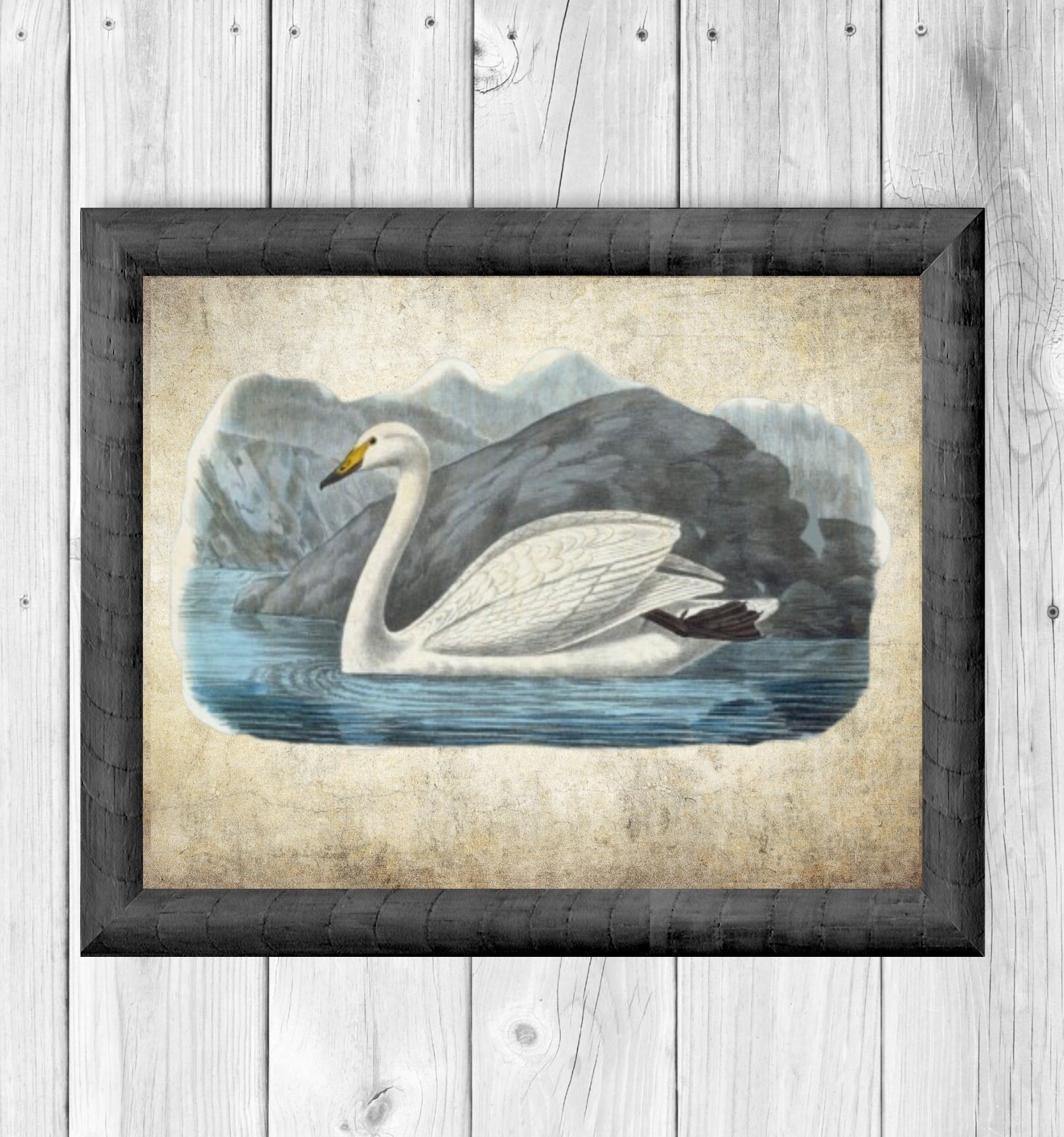 Swan Painting Digital Wall Art Illustration, Swan Print Vintage Swan ...